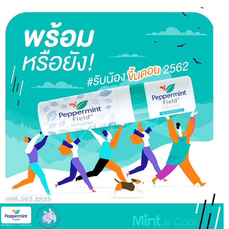 Ống hít Peppermint Thái Lan 2 in 1